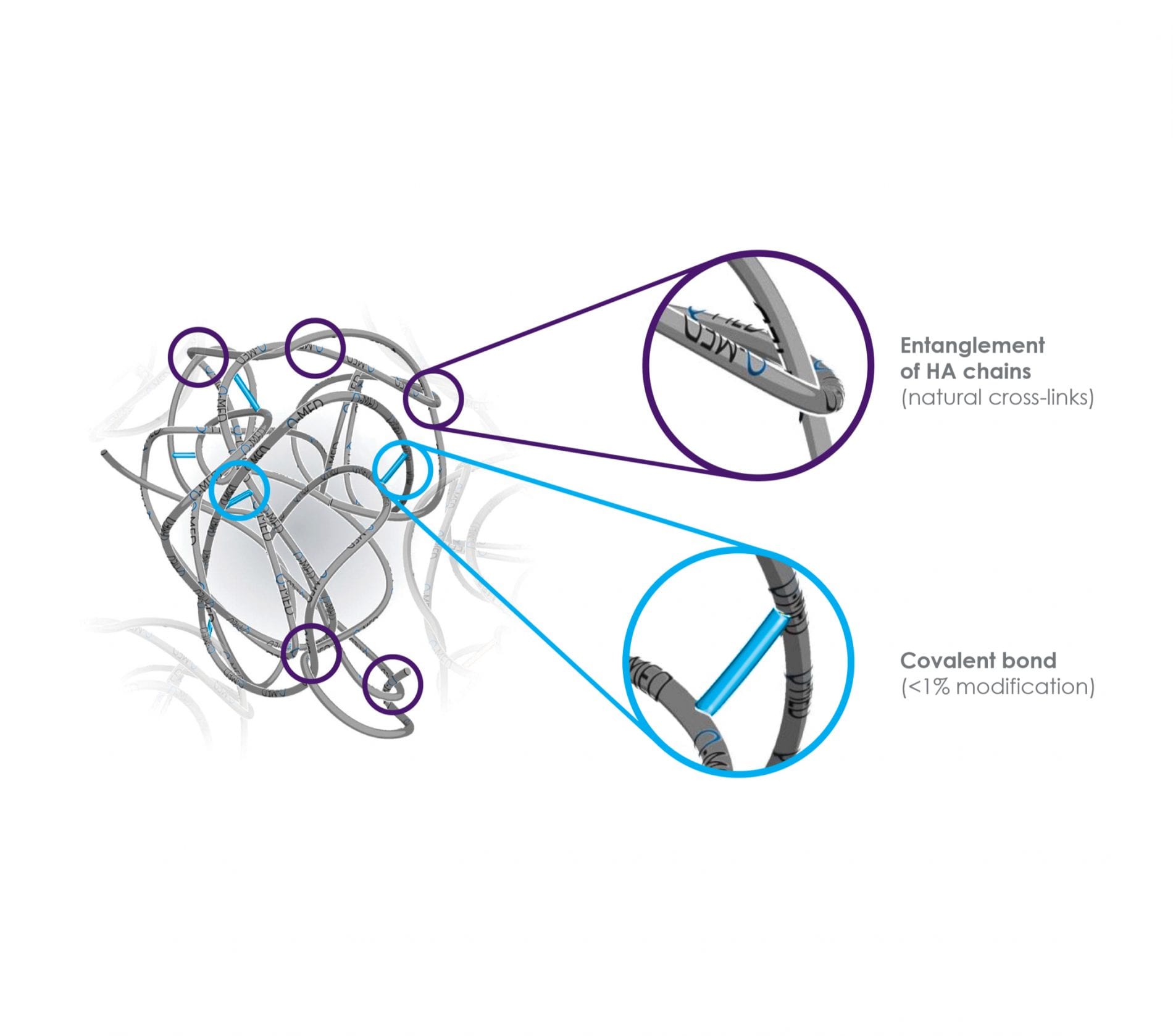 Durolane for Healthcare Providers | Clinical Insights